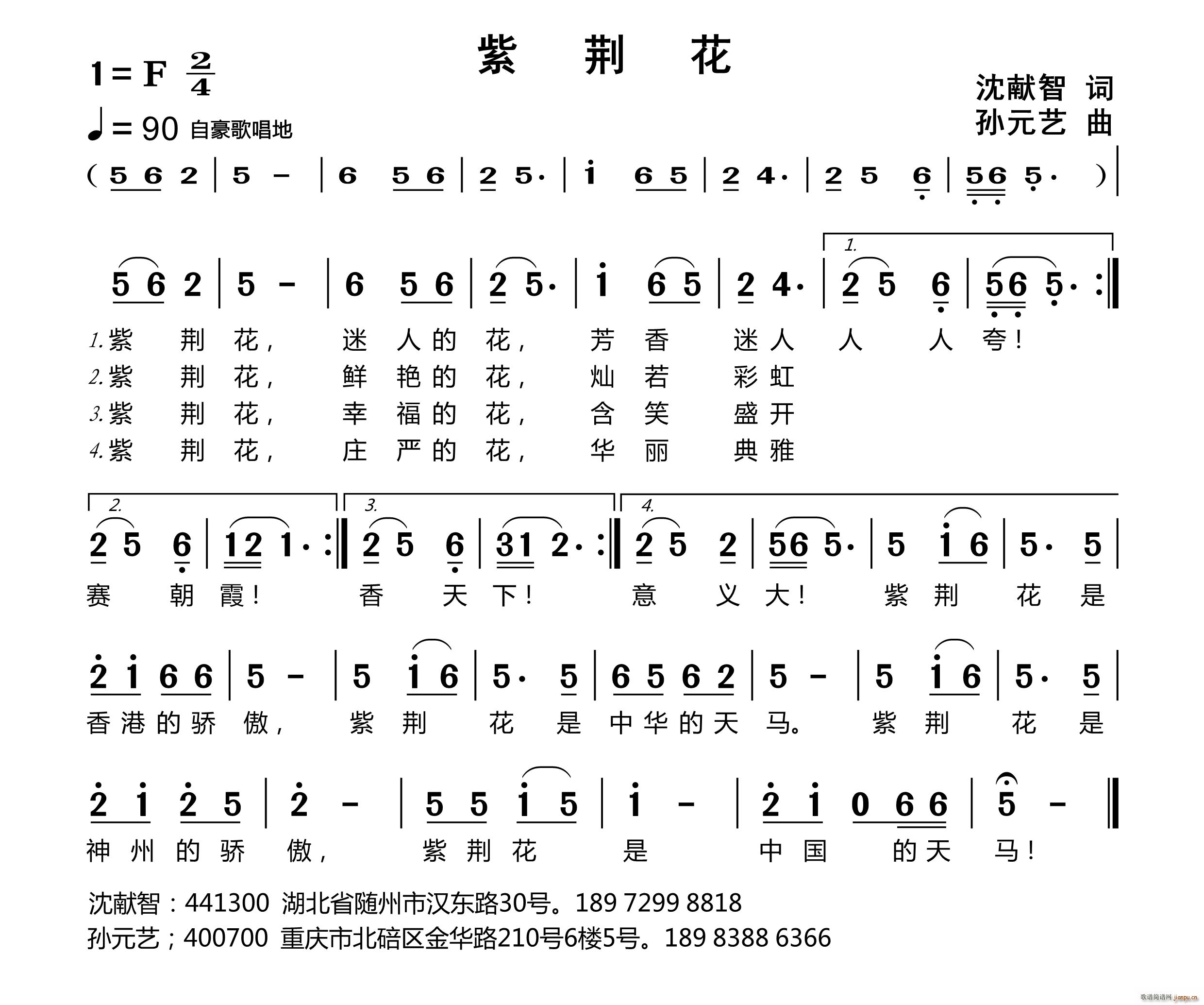 紫荆花 歌谱简谱网