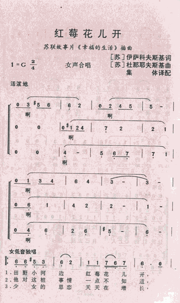 红莓花儿开 歌谱简谱网